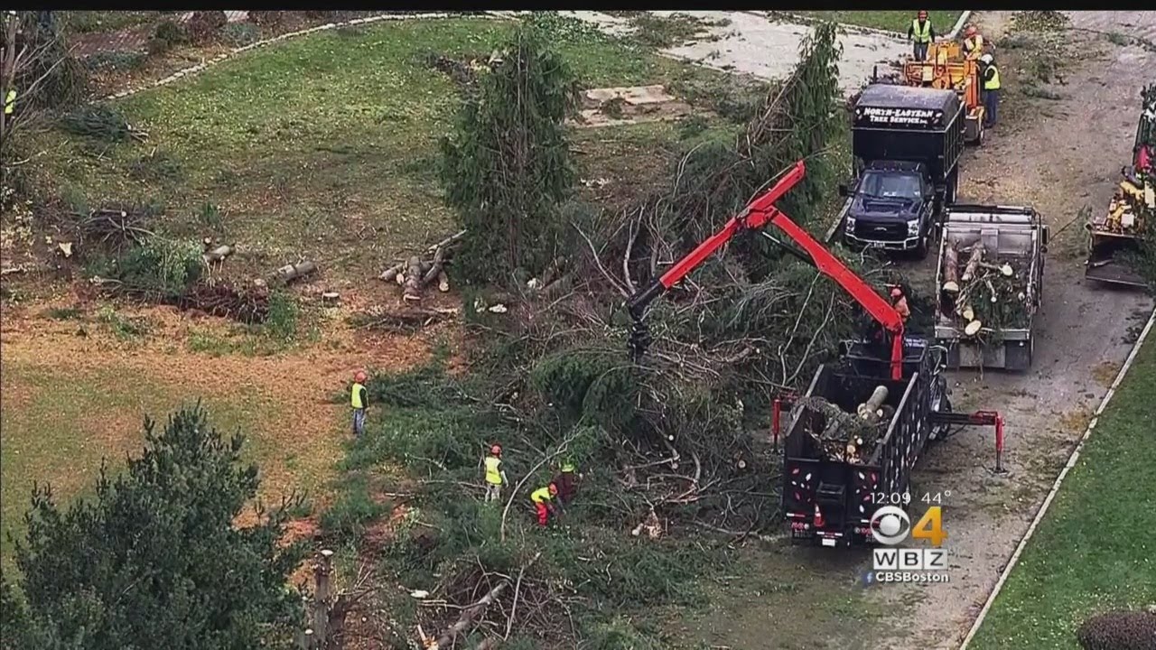 Tornado Touches Down In Lincoln, Rhode Island, Strong Storm Brings Down ...