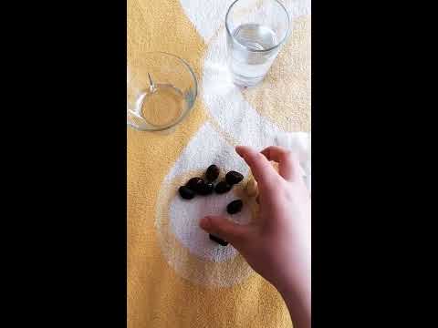 Muşmula ( döngel ) nasıl ekilir ? Nasıl çimlenir nasıl yetiştirilir adım adım bakım