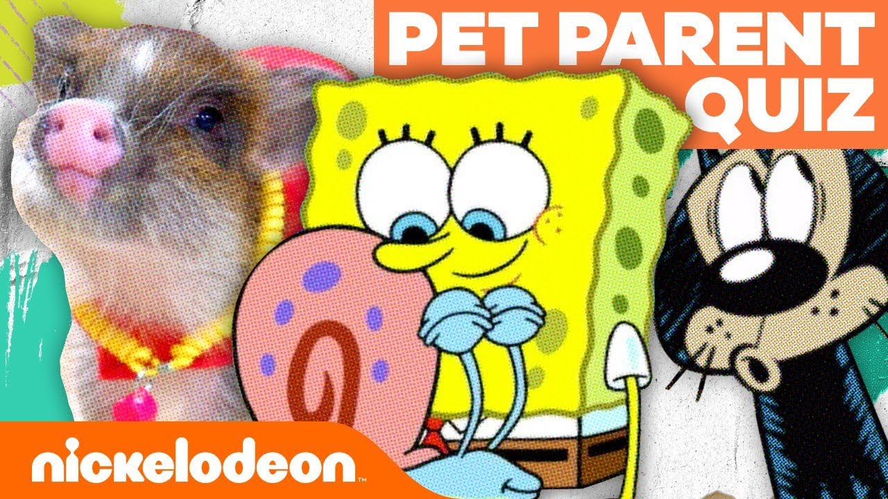 Nick Pet Parent Personality Quiz! 🐶 | #NickHelps - YouTube