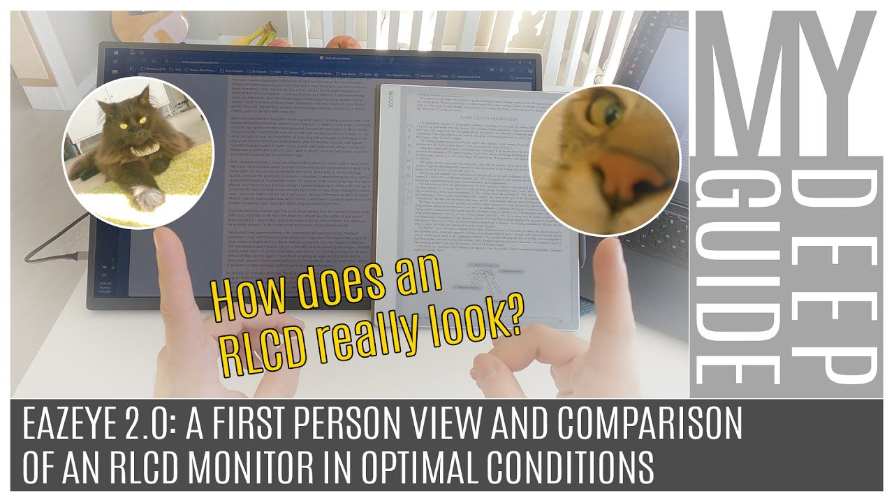 Eazeye 2.0 Monitor: A First-Person View of the RLCD Monitor in Optimal ...