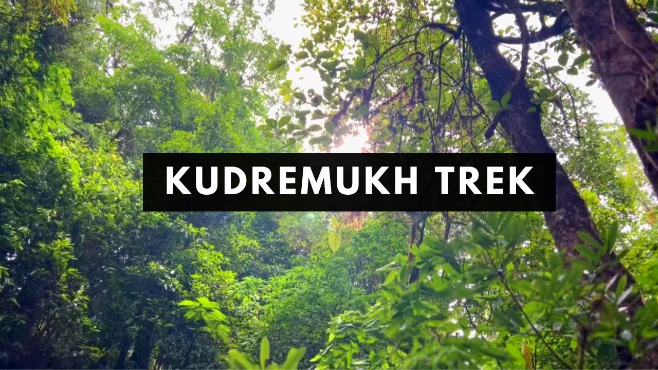 The Ultimate Kudremukh Trek: Hiking Karnataka's Spectacular Second ...