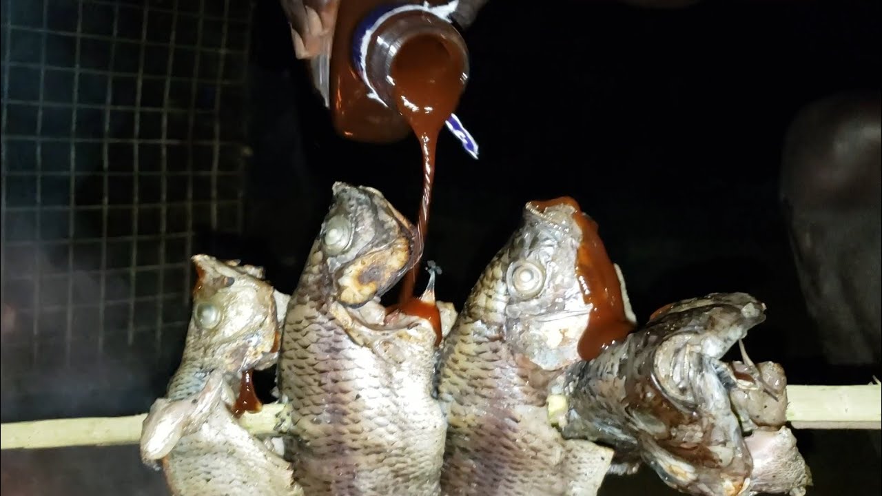 Catch N Bake Fish (Beze Hunting)Beze Guyanese Bake Fish - YouTube