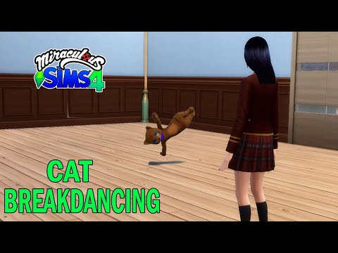 SIMS CAT BREAKDANCING MEME WITH MARINETTE - YouTube