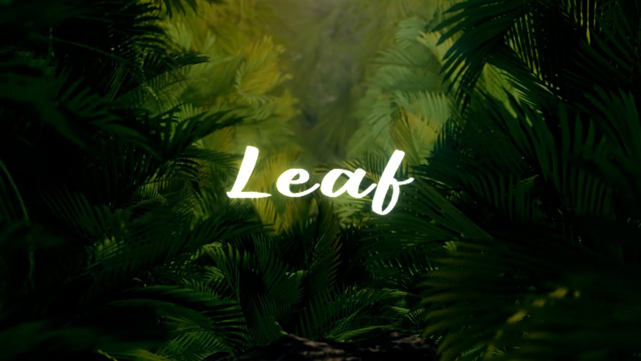 Cinematic Nature Drone Documentary [No Copyright Music] - Leaf - YouTube