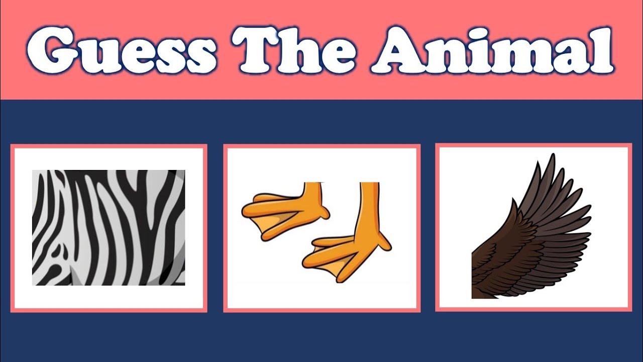 Can You Guess the Animals Quiz | Guess the Animals by their Texture ...