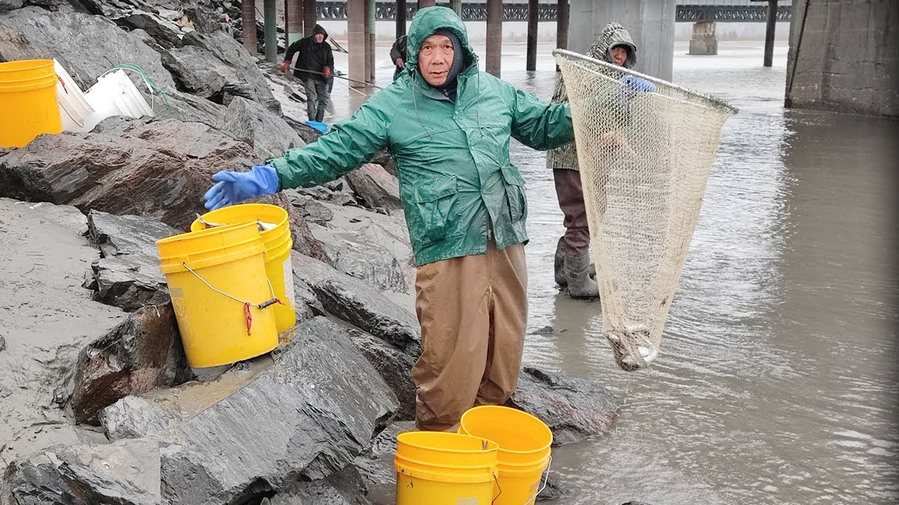 Dipnetting For Smelt In Alaska 2023 - YouTube