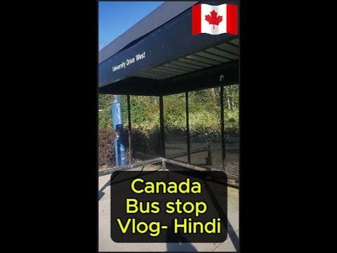 Canada bus stop Vlog Hindi #canada #canadavlogs #canadahindivlogger # ...