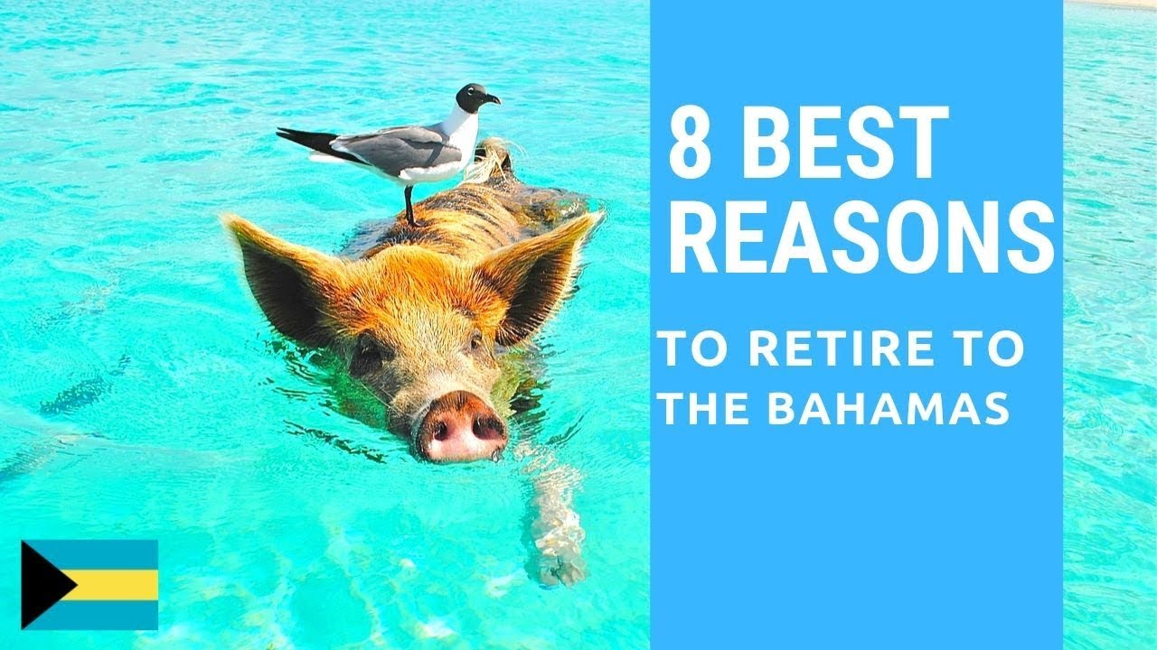 8 Best reasons to retire to the Bahamas! Living in the Bahamas! - YouTube