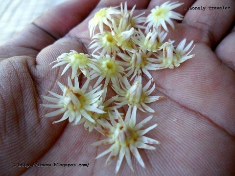 Bokul Ful Bokul Ful Bangla Hit Song - YouTube