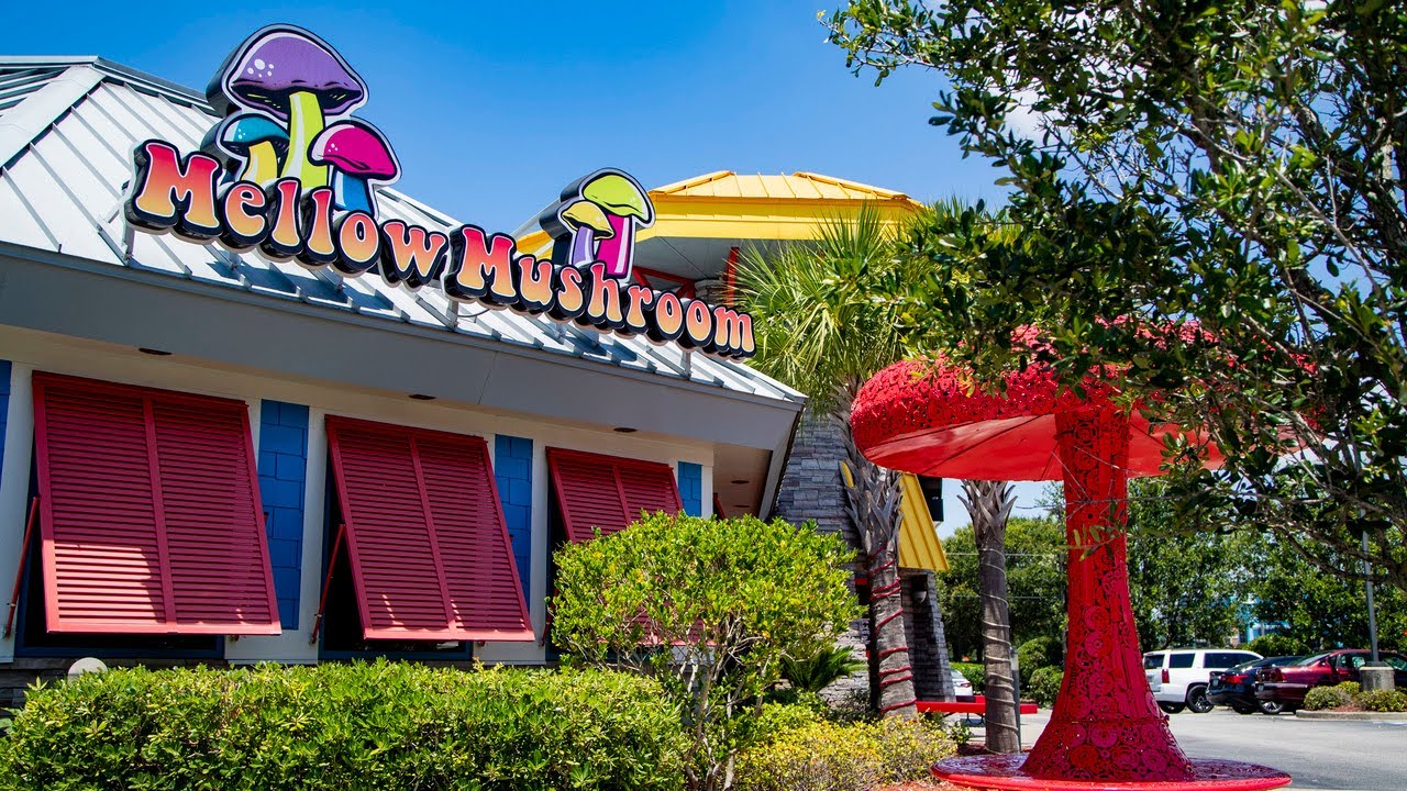 Mellow Mushroom assistant GM discusses COVID-19 effect on restaurants ...