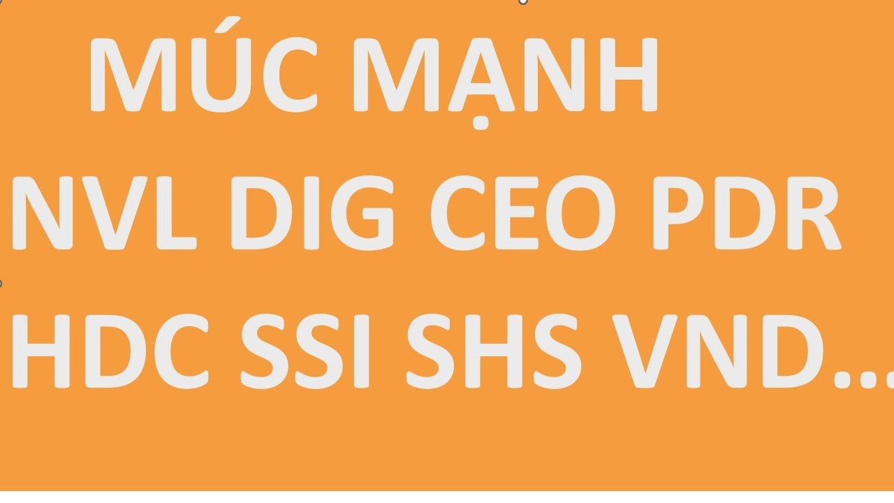 MÚC MẠNH NVL DIG CEO PDR SSI SHS VND HDG... - YouTube