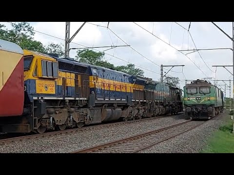 AII-MYS SPL Led By UBL WDG4 Twins "Gir Lions"+"Pulikeshi" Crosses Fresh ...