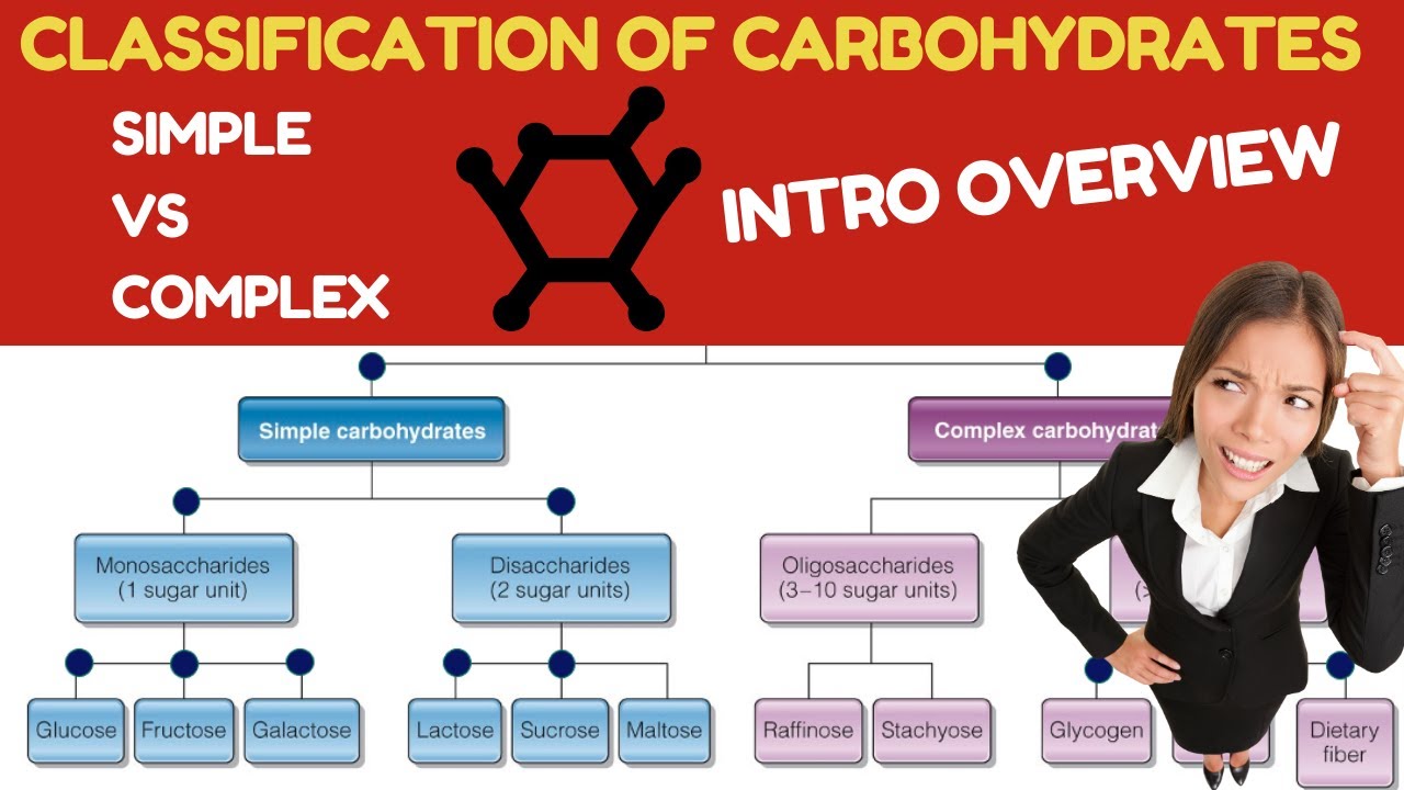 Classification of Carbohydrates (CHO) Simple vs Complex CHO. - YouTube