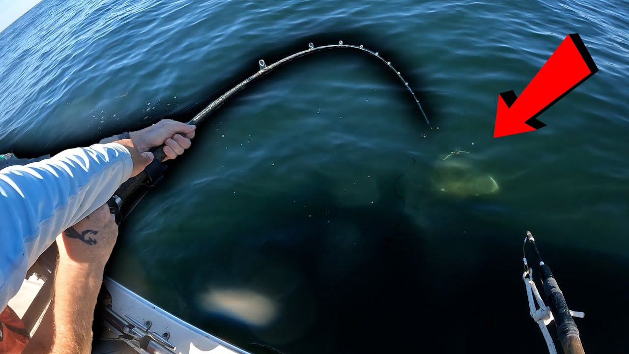 Catching 10 lb Fish, and then THIS MONSTER - YouTube