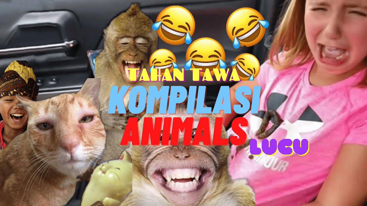 Kompilasi Animals Lucu Dan Menggemaskan HAHA II Viral 2022 - YouTube