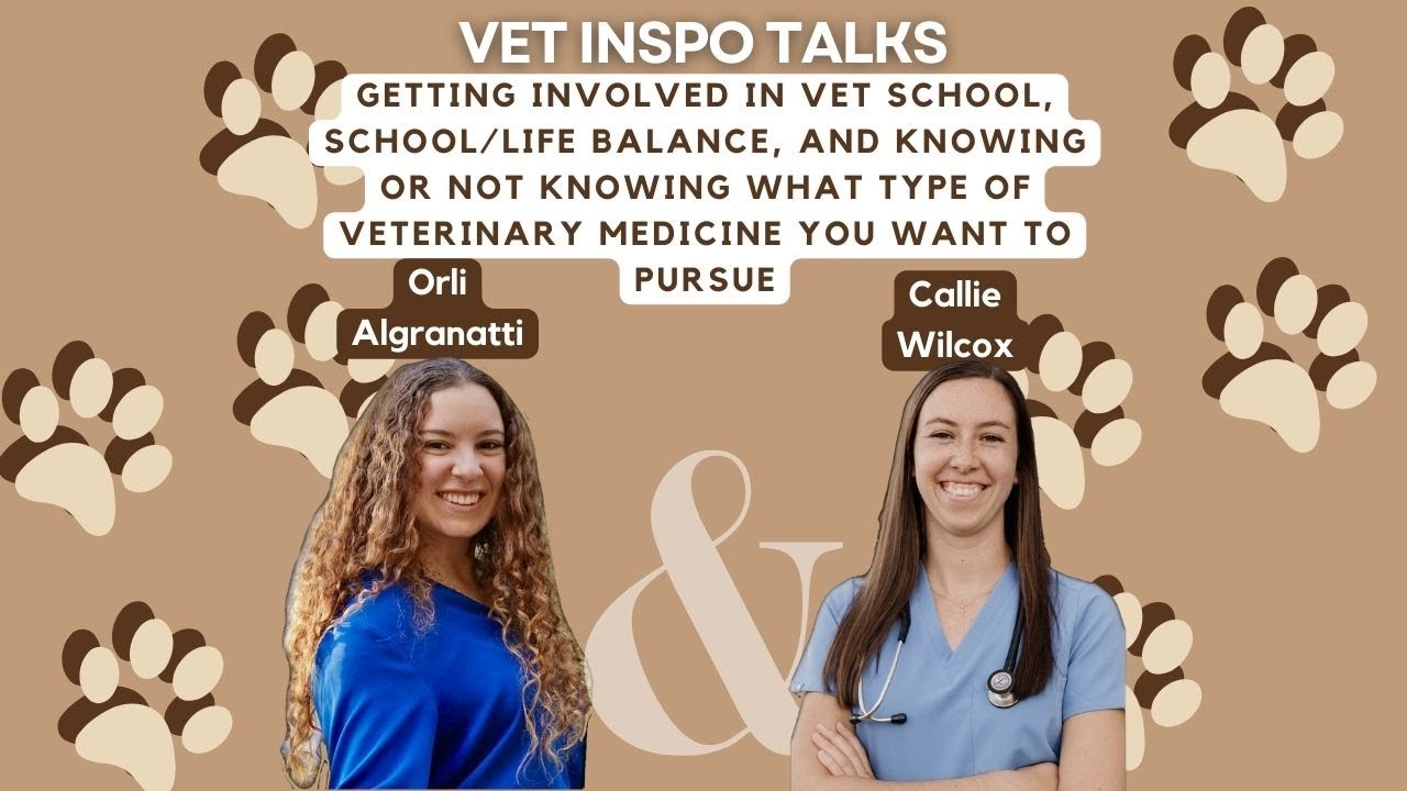 Vet Inspo Talks with Callie Wilcox - YouTube