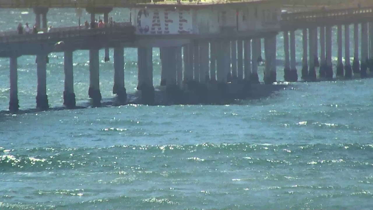 LIVE Webcam at Ocean Beach - YouTube