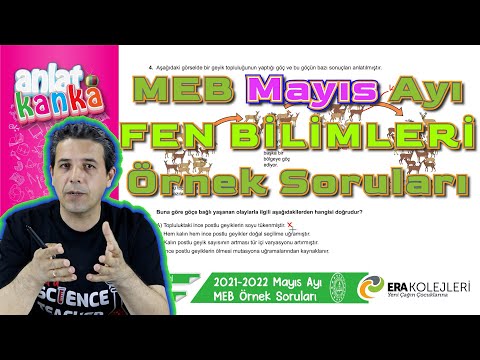 MEB MAYIS Ayı Örnek Sorular Fen Bilimleri LGS 2022