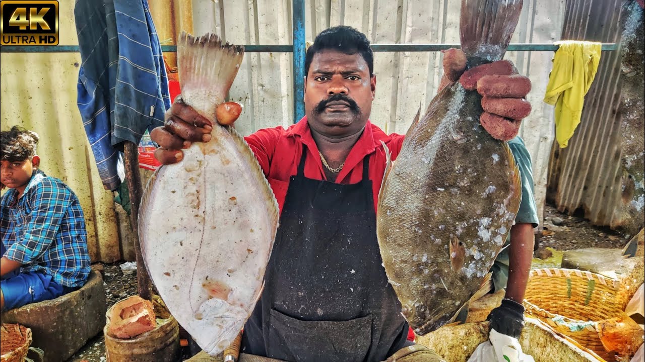 KASIMEDU 🔥 SPEED SELVAM | SOLE NAAKU FISH CUTTING VIDEO | IN KASIMEDU ...