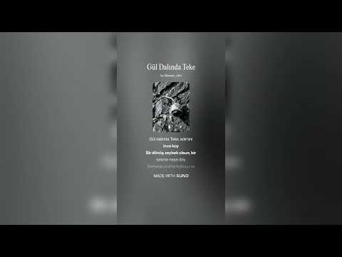 32 ISPARTA — Gül Dalında Teke | 81 İl 81 Şarkı 🇹🇷