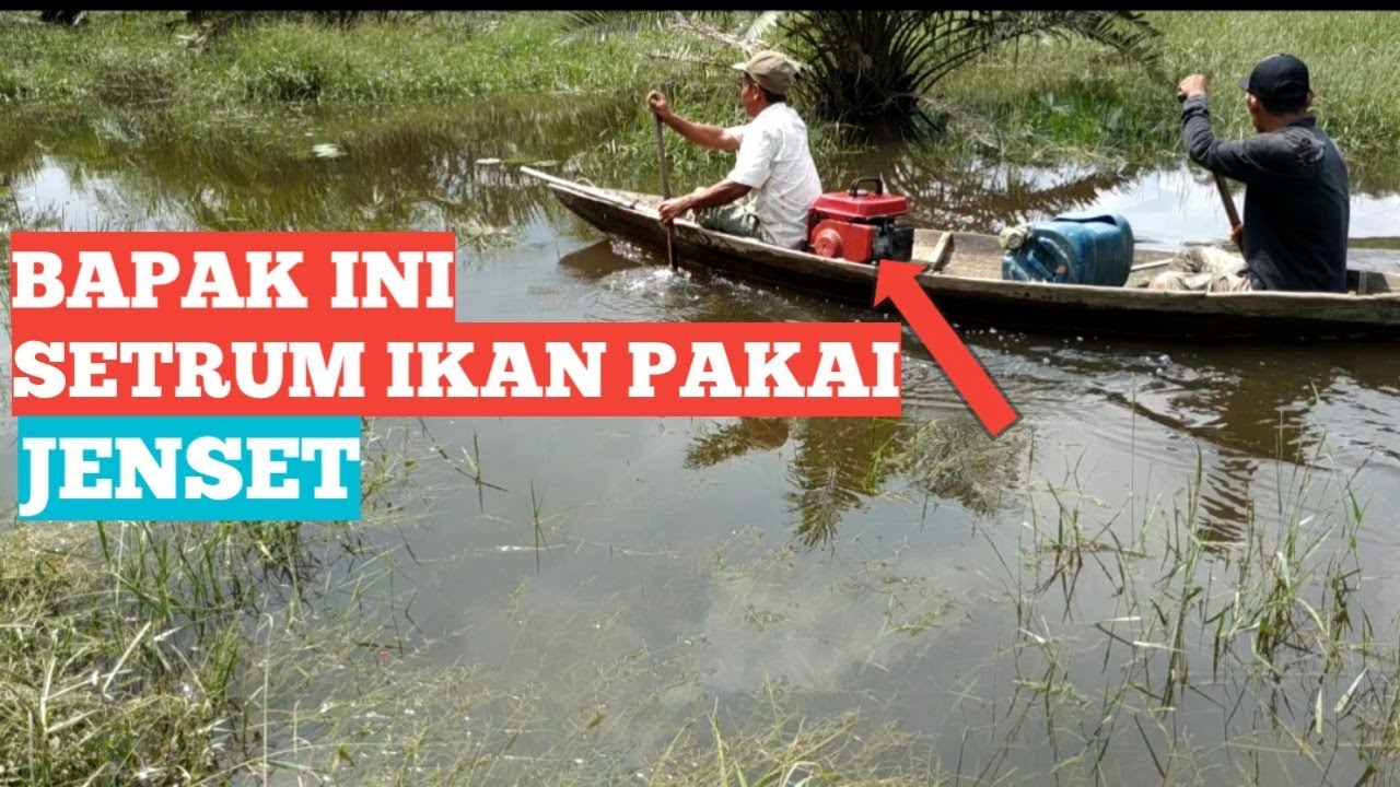 NGERI BAPAK INI SETRUM IKAN PAKAI JENSET MANCING IKAN GABUS - YouTube