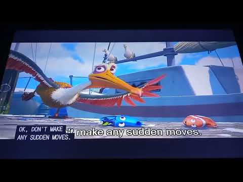 Finding Nemo Pelicans