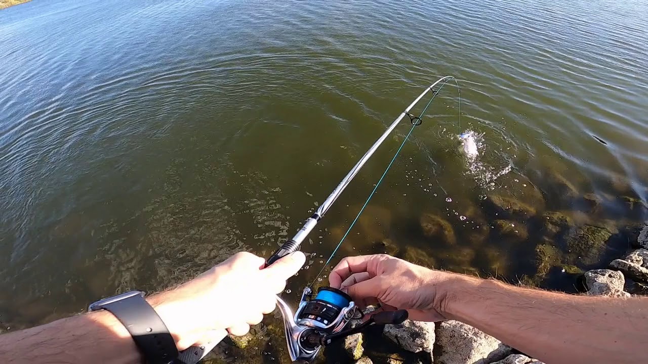 Super Nice Bass Strike - YouTube