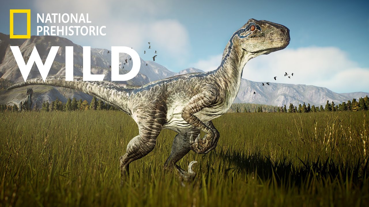 A fearsome hunter | VELOCIRAPTOR | JWE2 Dinosaurs in the WILD - YouTube