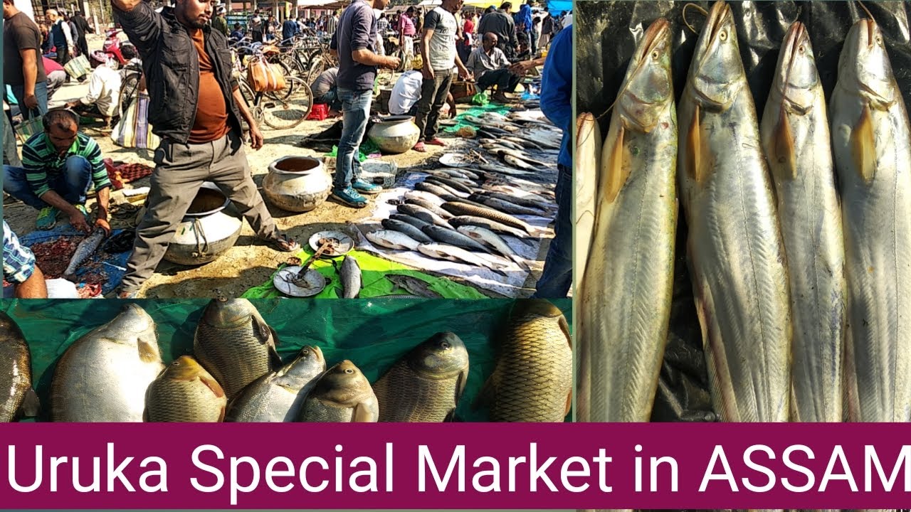 Uruka special Fish market in Assam. Guess the place ! - YouTube