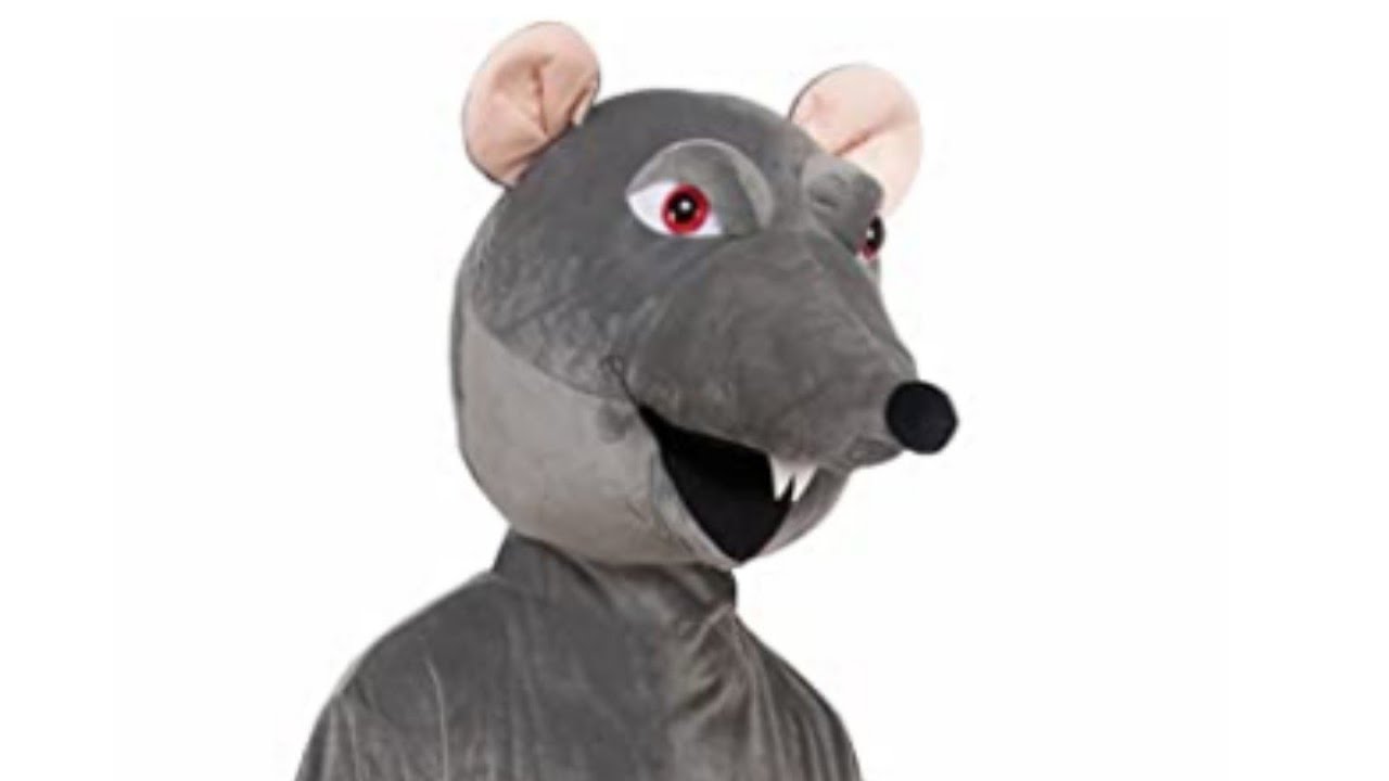 Wtf going on in the new gorbox game man - YouTube