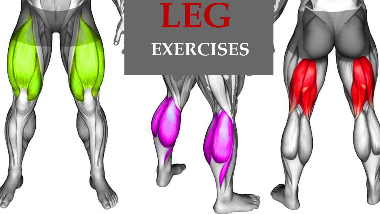 Full LEG Muscle Transformation 8 Best Exercises - YouTube