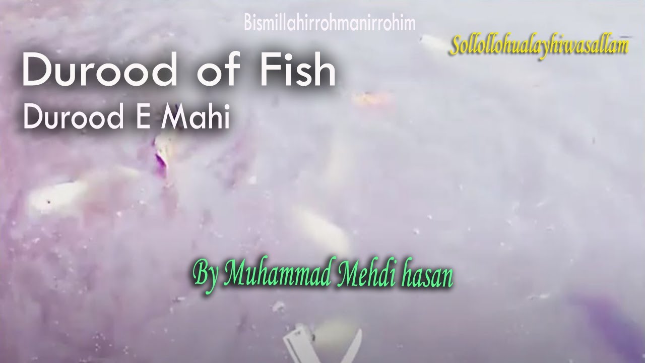 Duroode Mahi (Durood of Fish) - YouTube