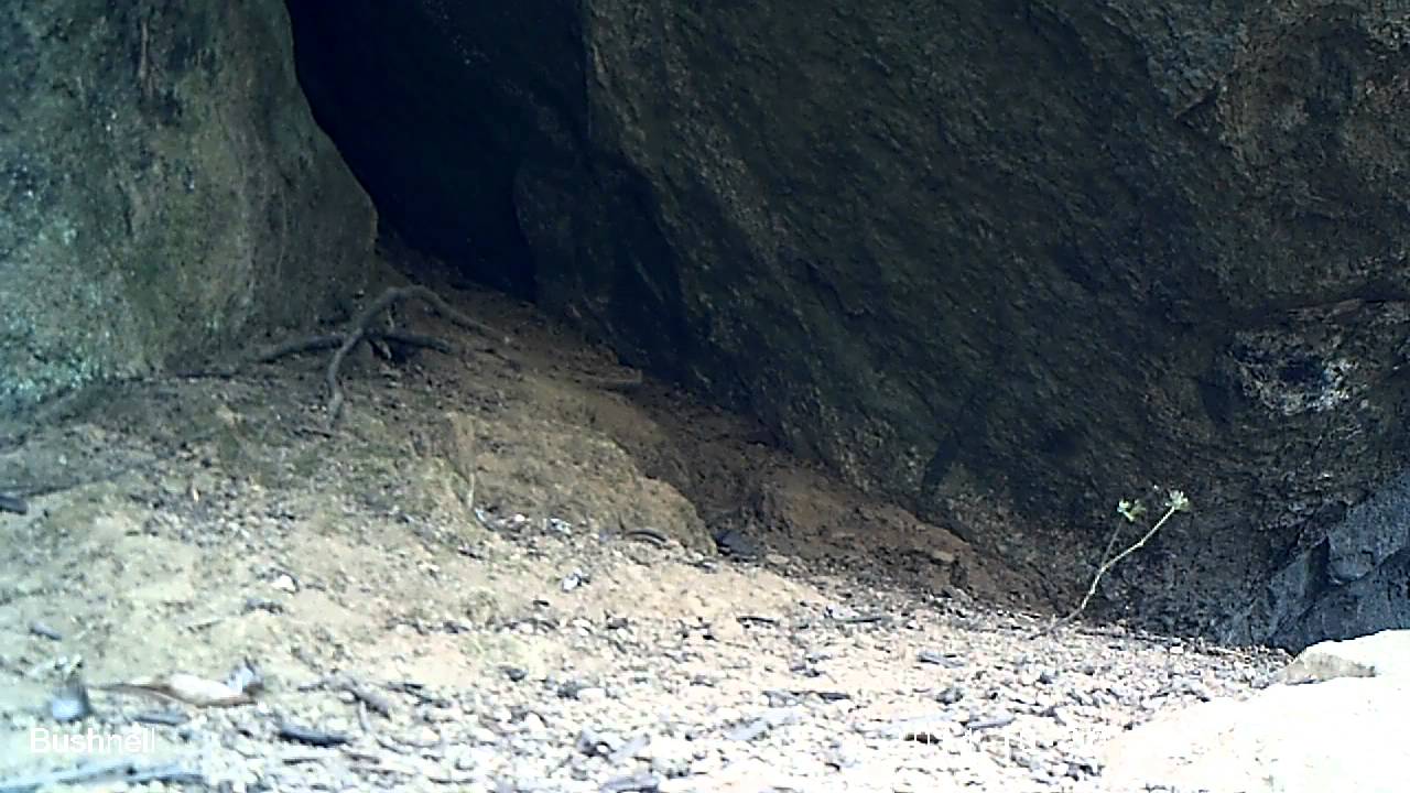 Cangamba 1/2 - YouTube