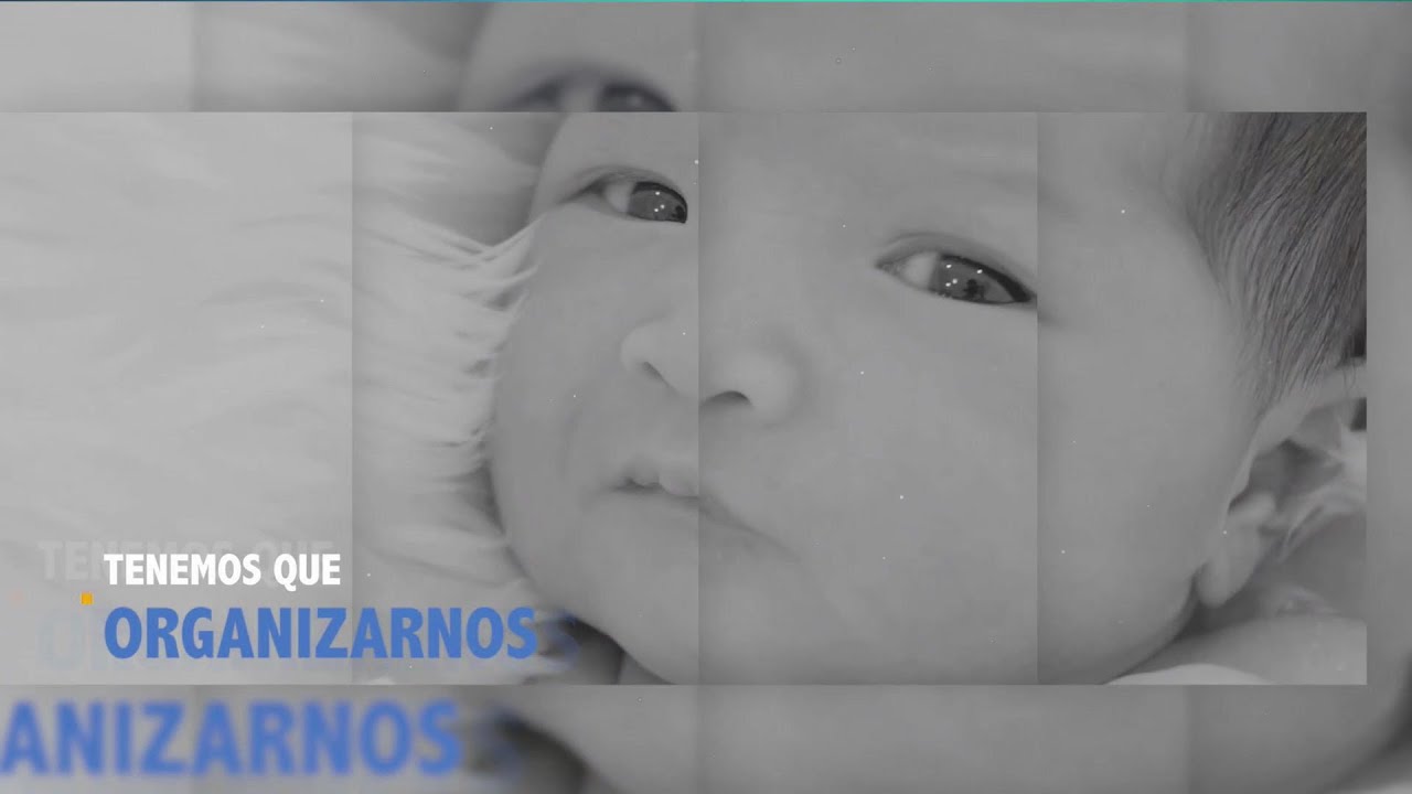 INFORME PROVIDA - 2024-07-05 - CONSTRUYENDO UN MUNDO PROVIDA Y ...