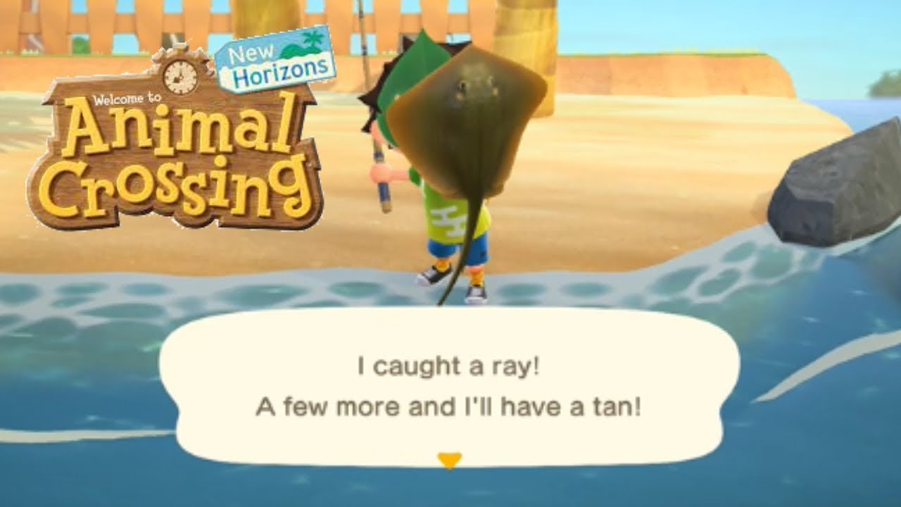 catching a sting ray in Animal Crossing New Horizons - YouTube