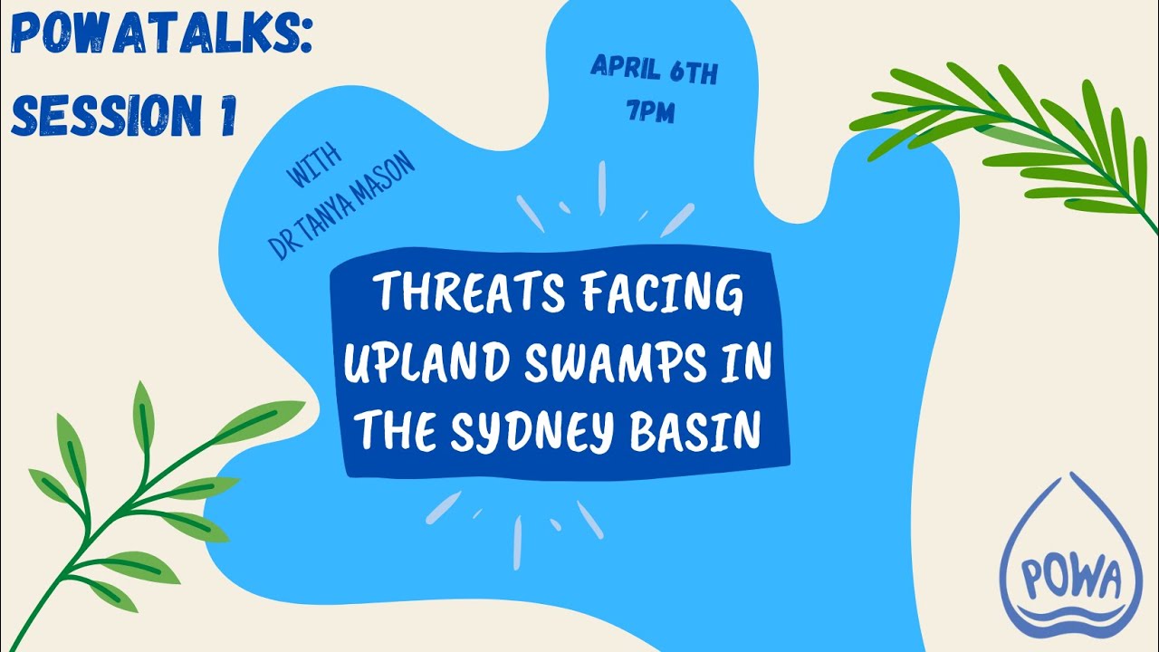 POWAtalks The Essential Importance Of Swamps With Dr Tanya Mason powatalks-the-essential-importance-of-swamps-with-dr-tanya-mason
