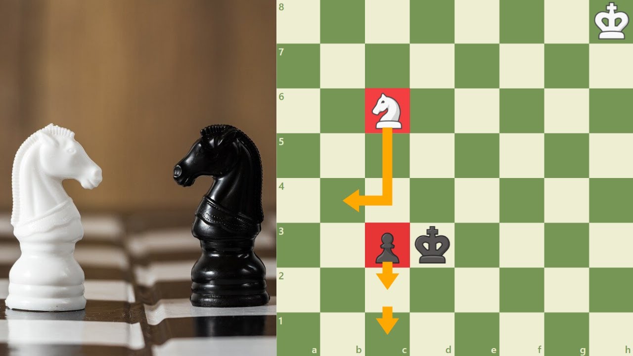 Silman's Complete Endgame Course - Part 11 (1200-1399) - YouTube