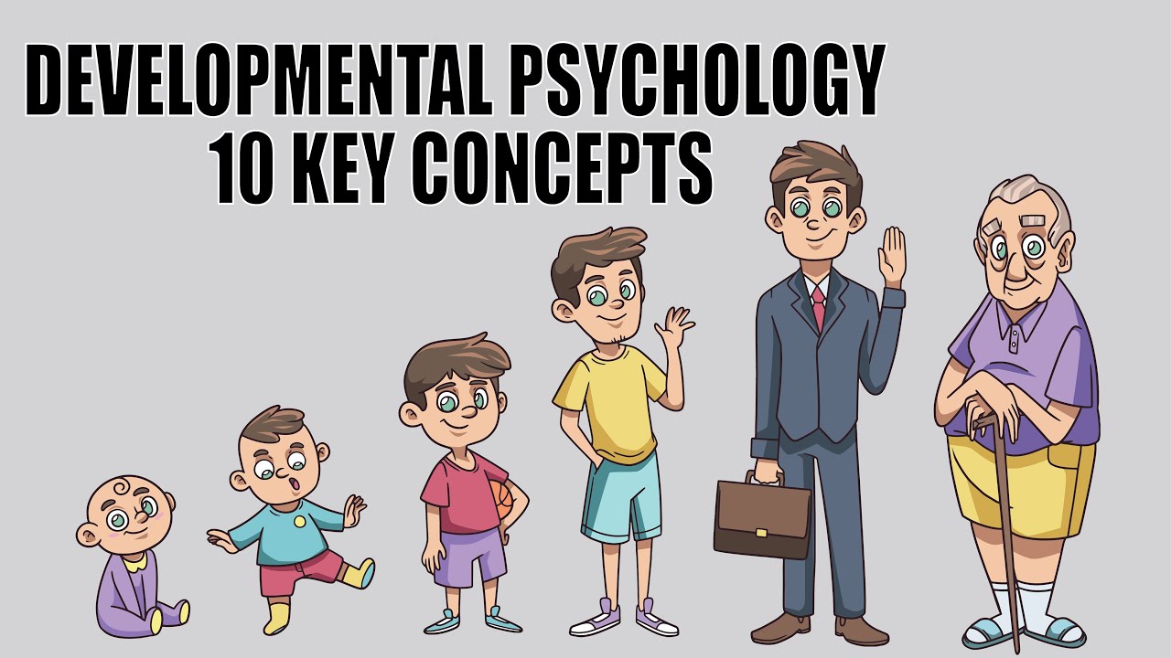 Developmental Psychology | 10 Key Concepts Explained - YouTube