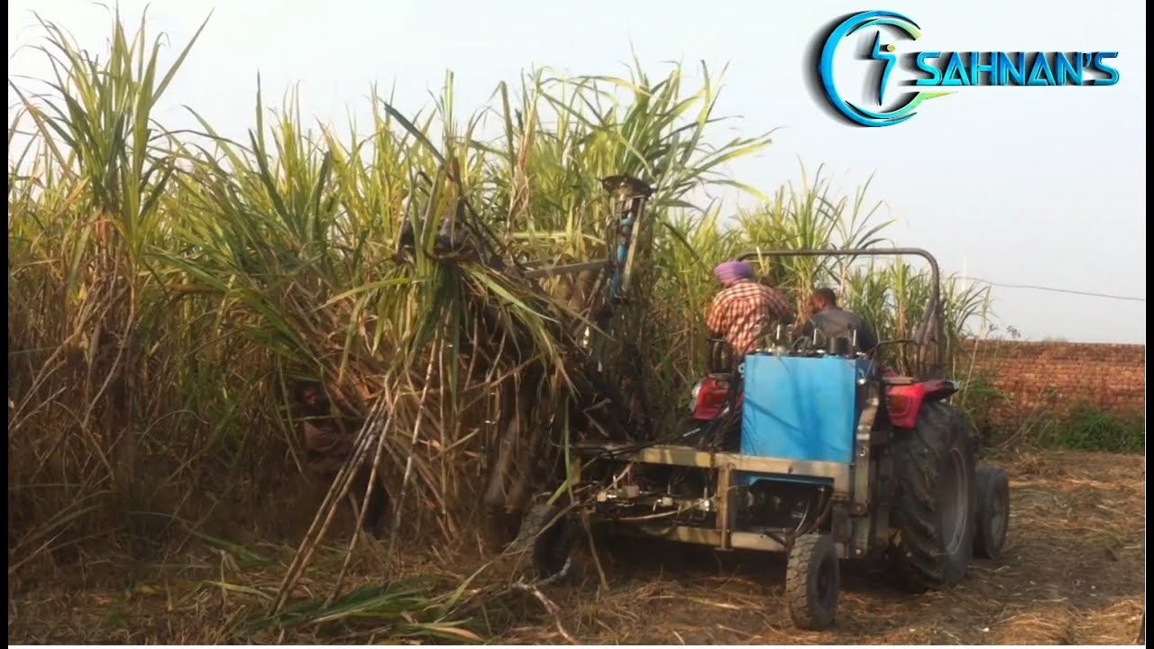 Sugarcane Harvester I Multipurpose Whole Cane Harvester I Make In India ...