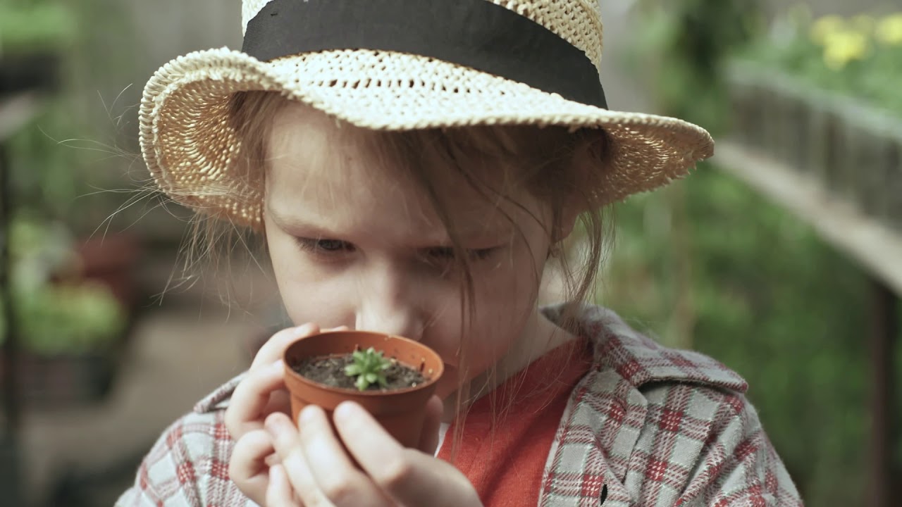 Gro More Good - Outdoors - YouTube