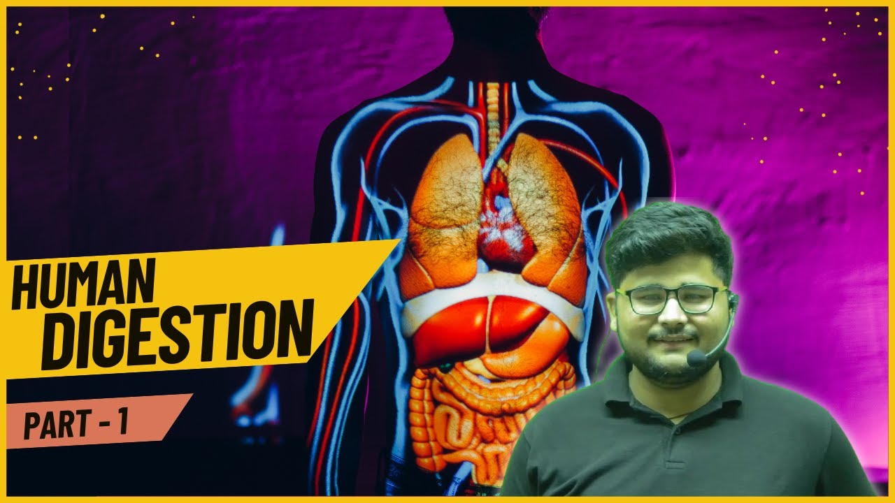 Class 10 chapter 6 Life Process (Digestion Part) || let's Recognize ...