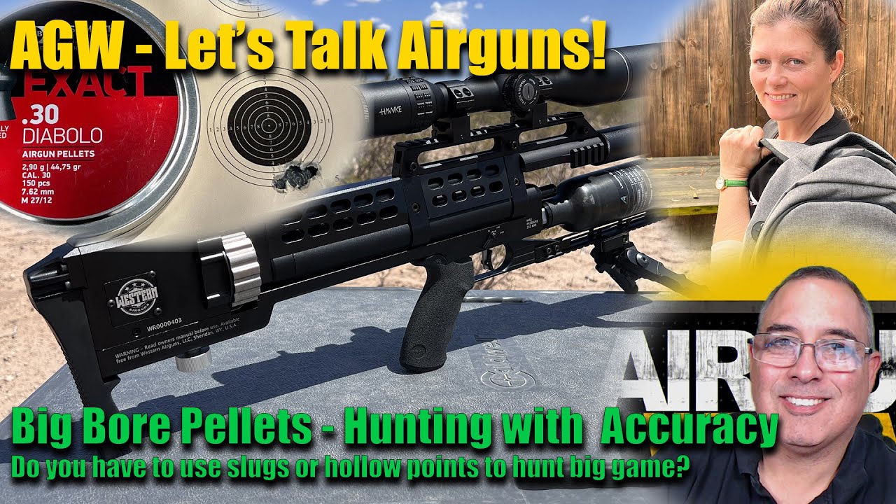 Let's Talk Airguns - Big Bore Pellets - Hunting Big Game with Power ...
