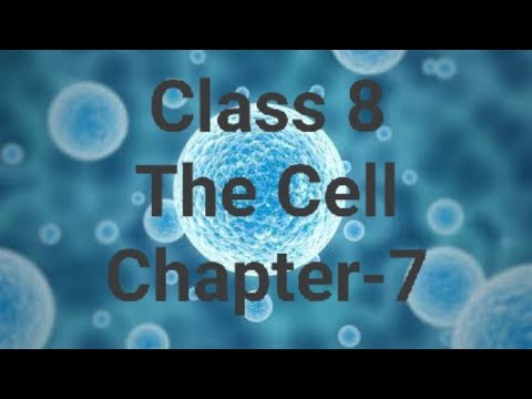 Class -8 The Cell (cell division & it's growth) Part-3 science Chapter ...