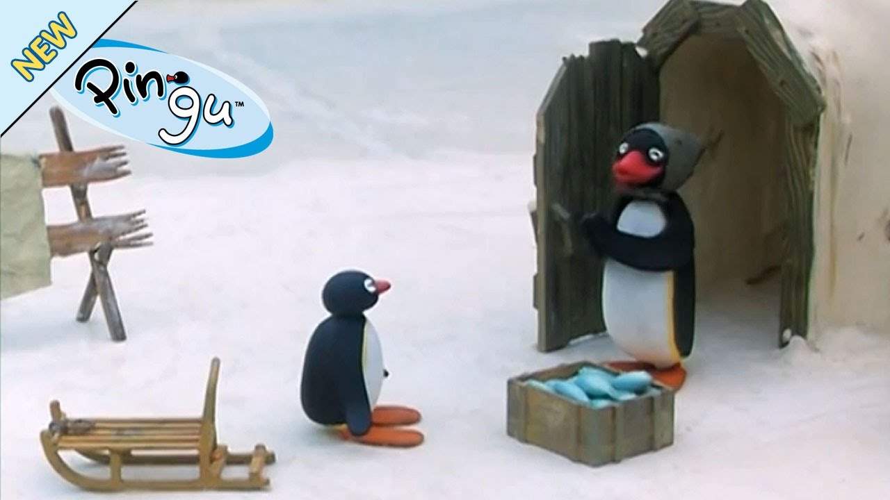 Pingu draws a winner clip - Pingu Official Channel - YouTube
