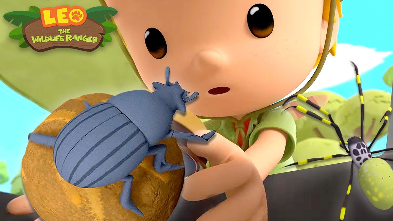CREEPY Crawlies?! 🐛🐞 Spiders, Dung Beetles, Worms 🐜🪲 Leo the Wildlife ...