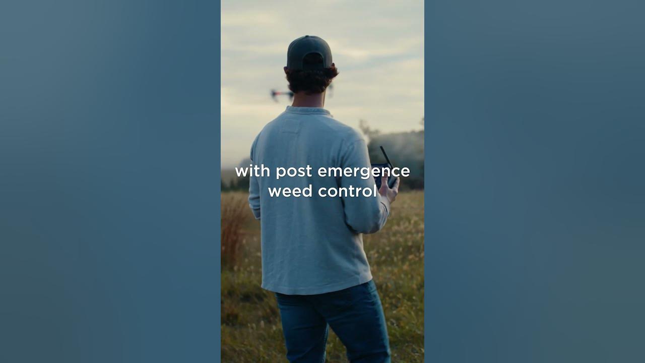 When drones join the ranch crew, cows can enjoy the healthiest grass to ...