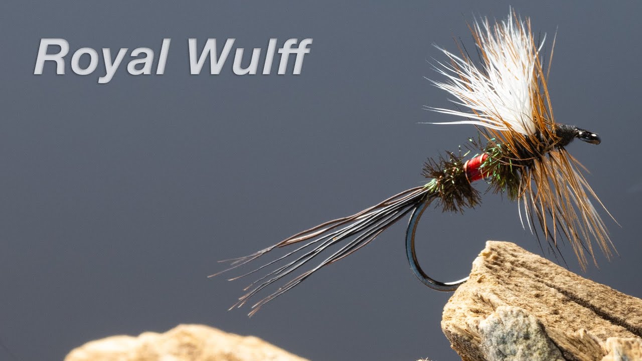 Royal Wulff - YouTube