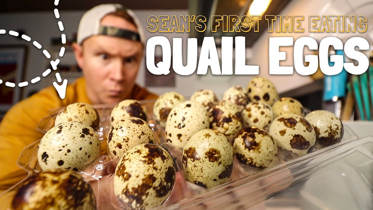 Sean's First Time Eating Quail Eggs 🥚🍳 | Episode 10 - YouTube
