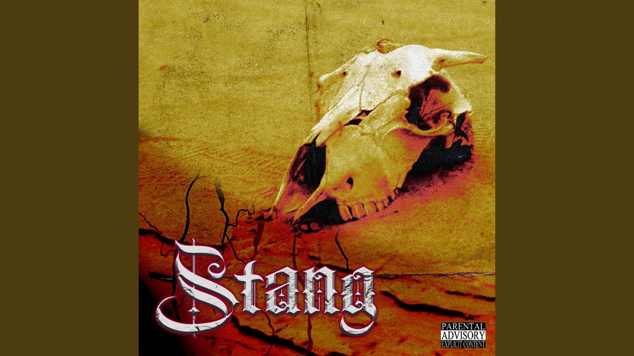 Stang (feat. DJvsiren) - YouTube