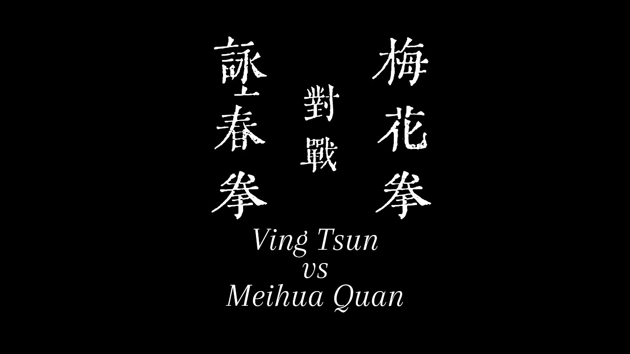 Ving Tsun VS Meihua Quan (Plum Blossom Boxing) - YouTube